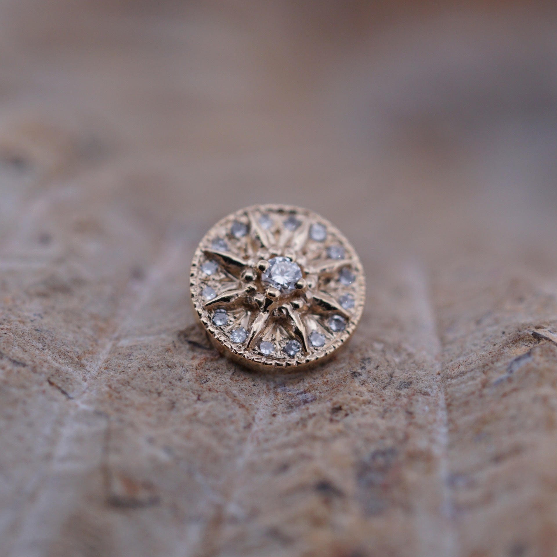 Compass Disc | Make Me Holey BP